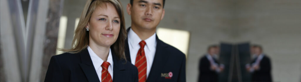 Diversity - MSS Security