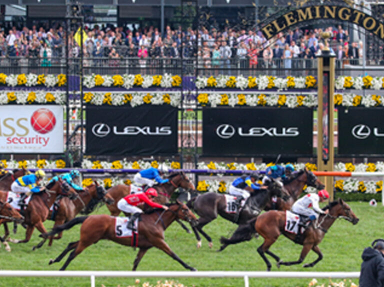 MSS Sponsored Sprint at Melbourne Cup - MSS Security