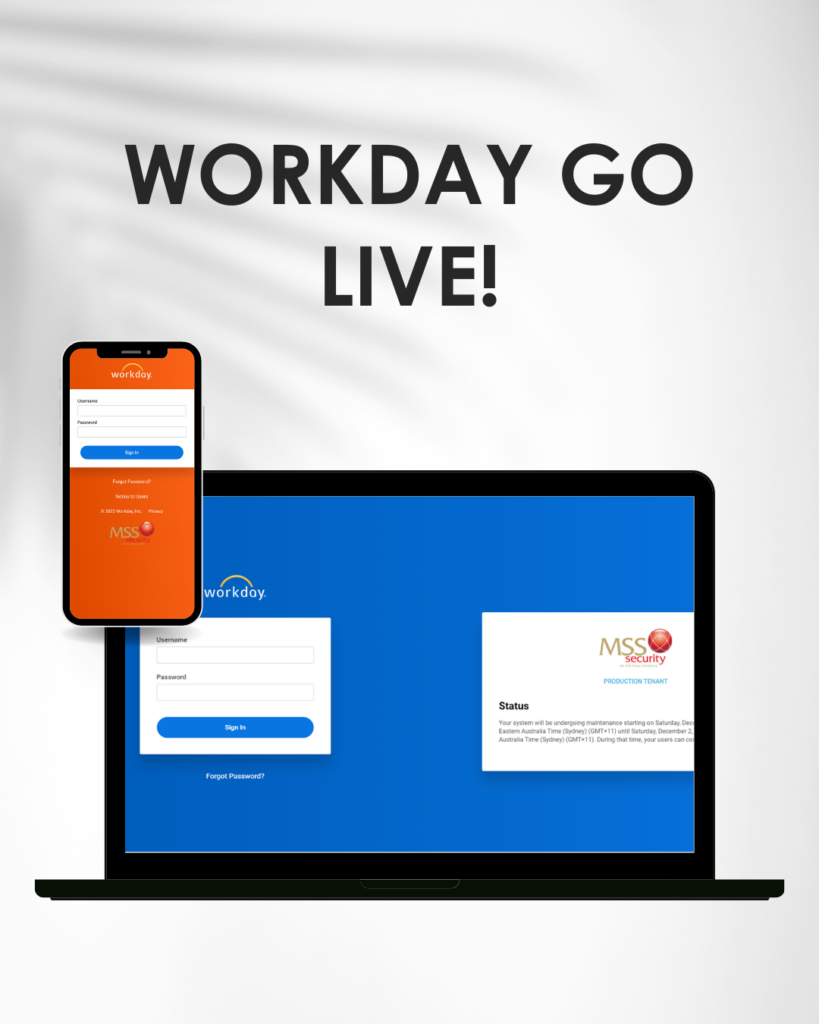 Celebrating Workday Go Live: A Game Changer for MSS and SMR - MSS Security